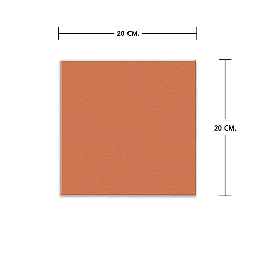 02 1 2x20x20 2009 02 1 2x20x20 2009